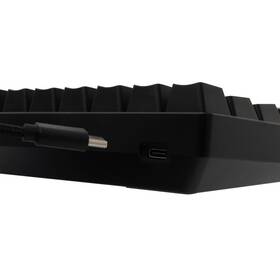 Klávesnice White Shark SHINOBI 2, CZ/SK layout, Red Switch (SHINOBI2-B ...