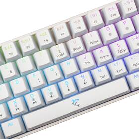 Klávesnice White Shark SHINOBI 2, CZ/SK layout, Red switch (SHINOBI2-W ...