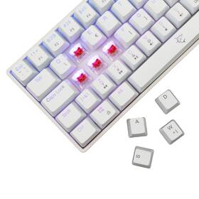Klávesnice White Shark SHINOBI 2, CZ/SK layout, Red switch (SHINOBI2-W ...