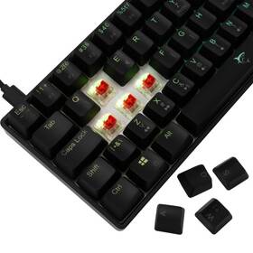Klávesnice White Shark SHINOBI 2, CZ/SK layout, Red Switch (SHINOBI2-B ...